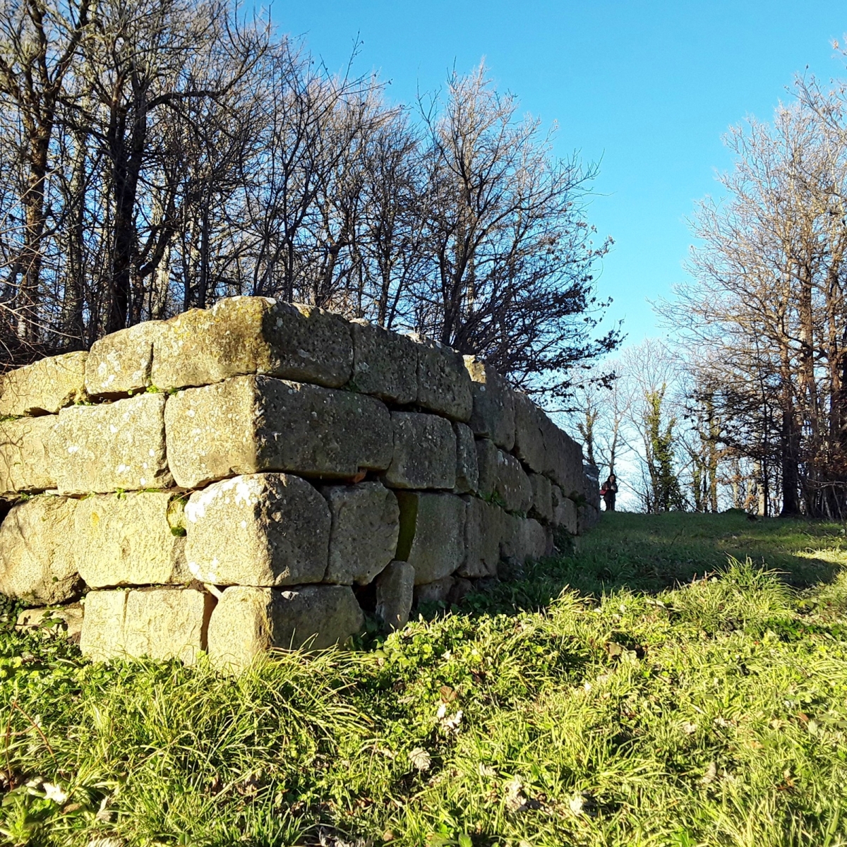 Il Regio Tratturo della Marina - Pandosia