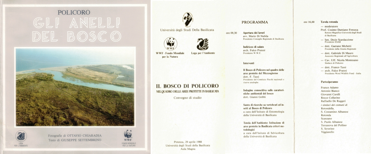 Il Bosco Pantano di Policoro - Pandosia